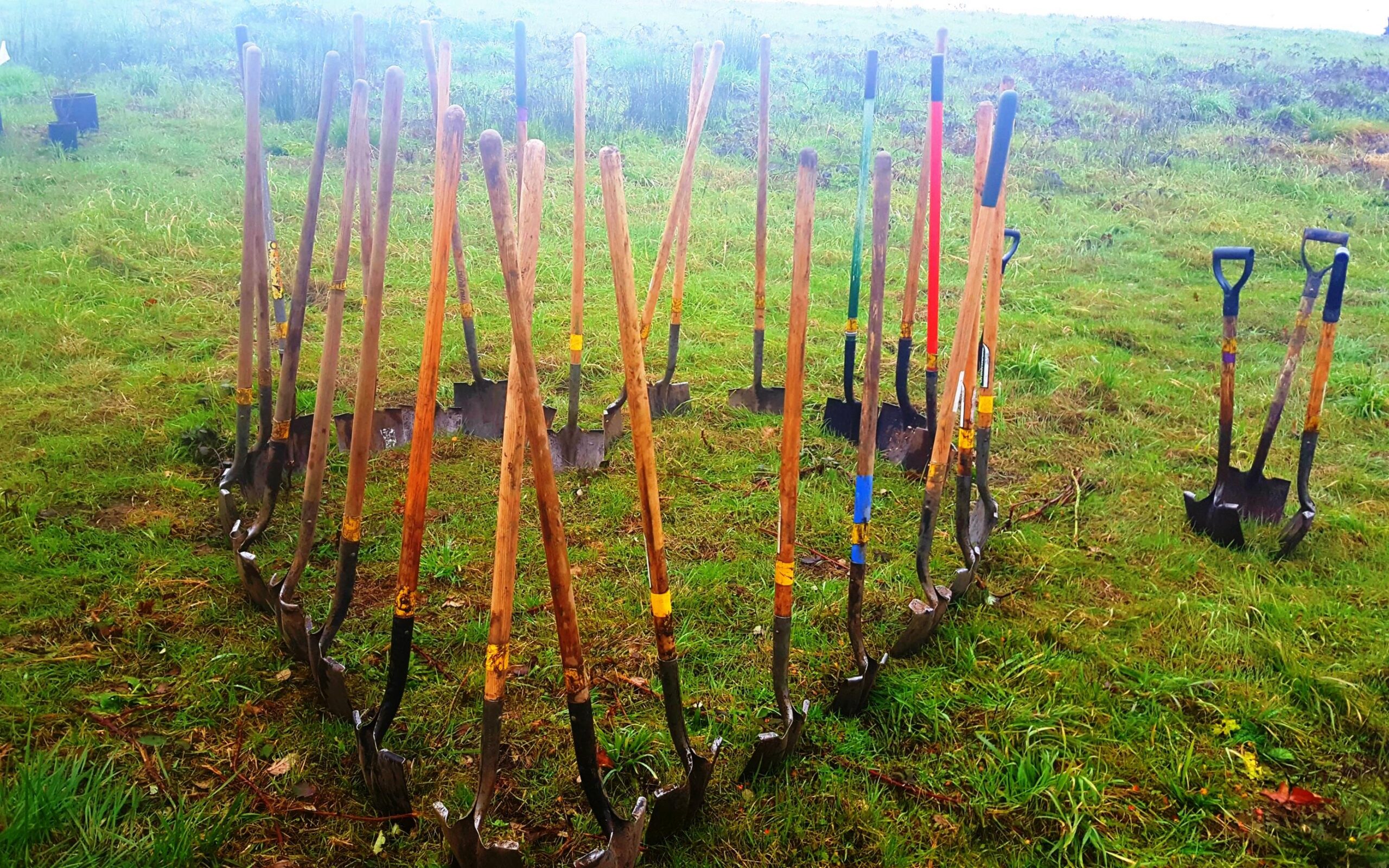 Dedicate a Gift Tree Form - Friends of Trees