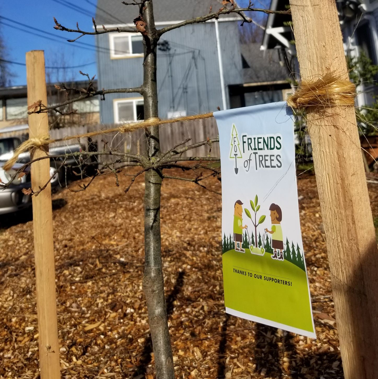 The Eugene Branch Walks the Talk in their own Backyard - Friends of Trees