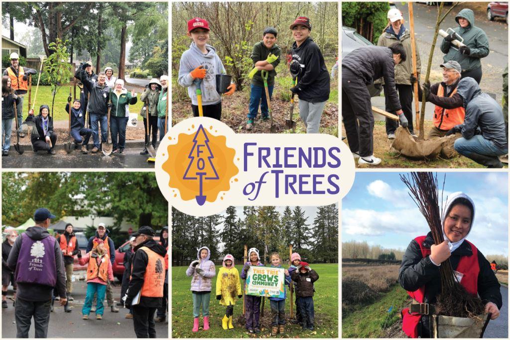 FOT in the news Archives - Friends of Trees